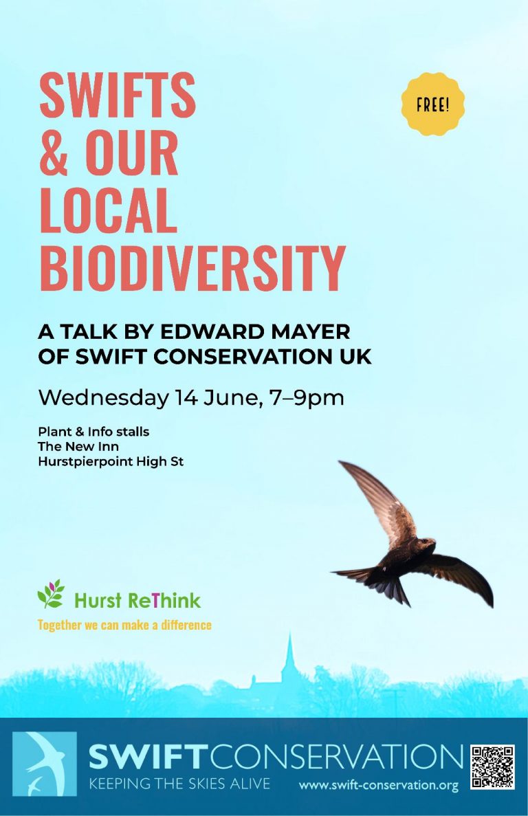 A talk on Swifts – The Woodland Flora & Fauna Group